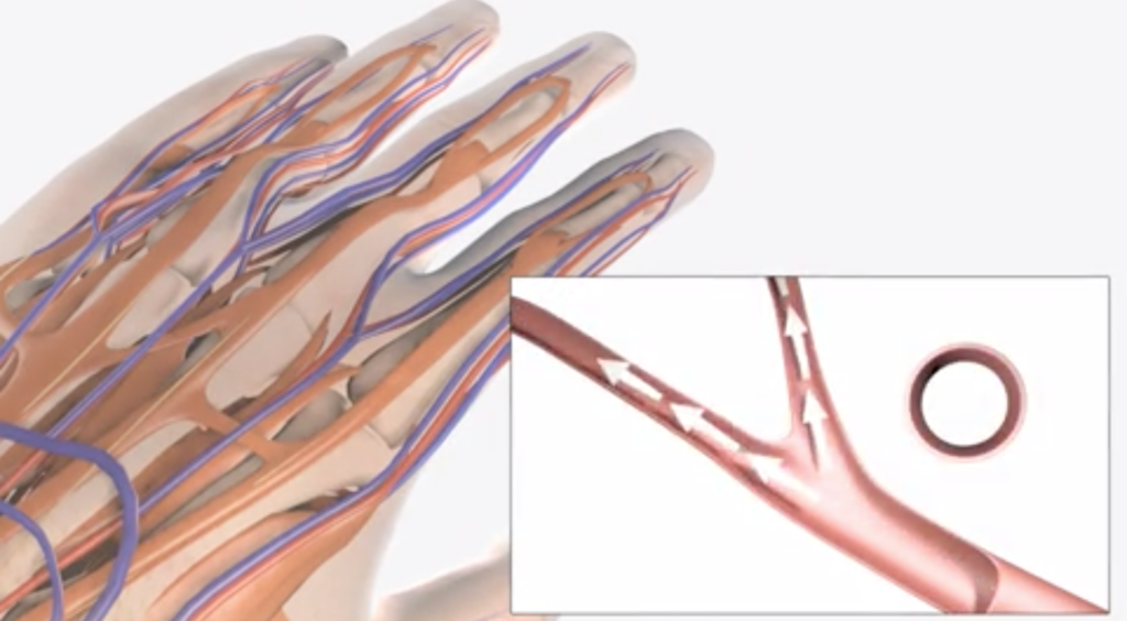 Find a Course to Suit You - Plato Training