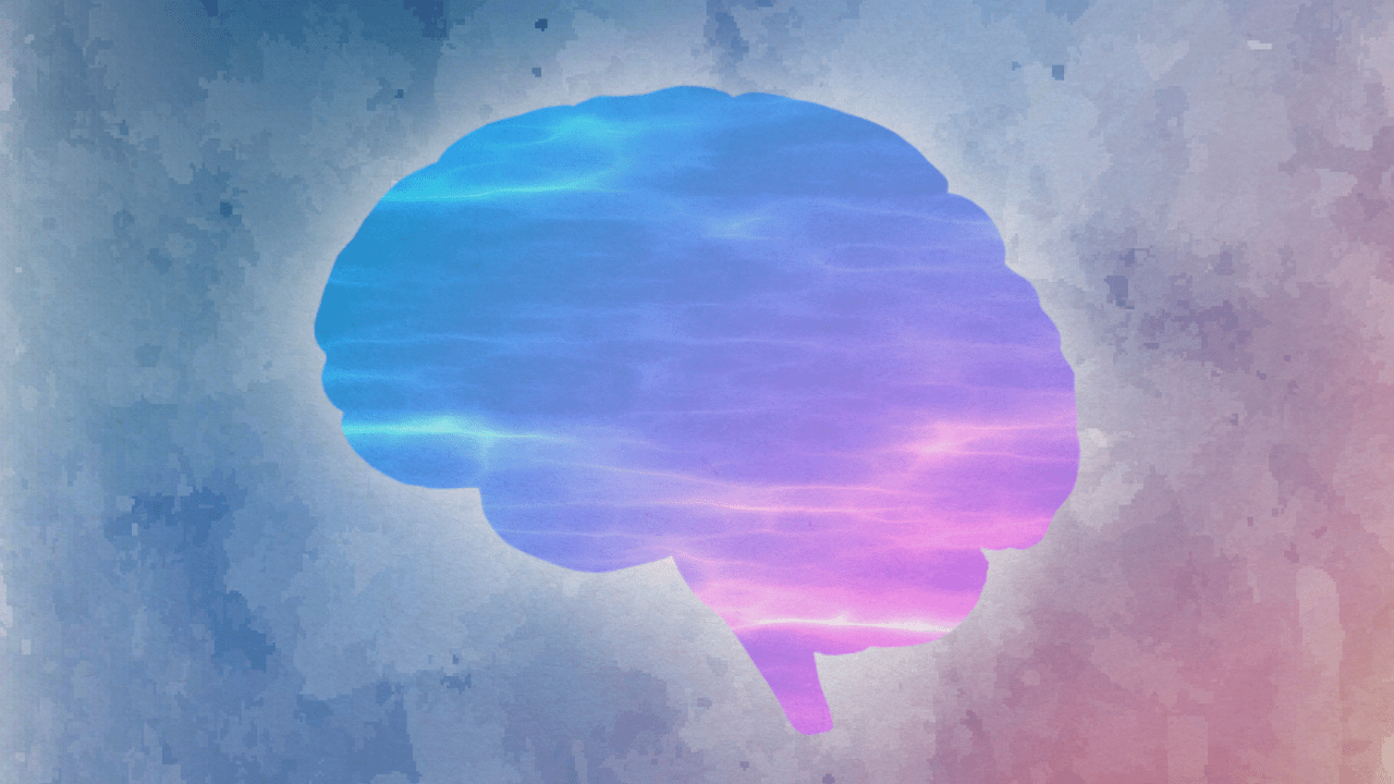 Find a Course to Suit You - Plato Training